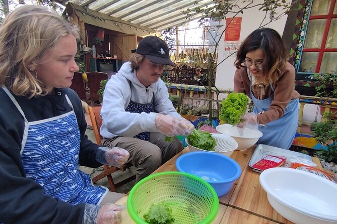 Cooking Class in Sa Pa With Local Chef - The Itinerary: From Market to Plate