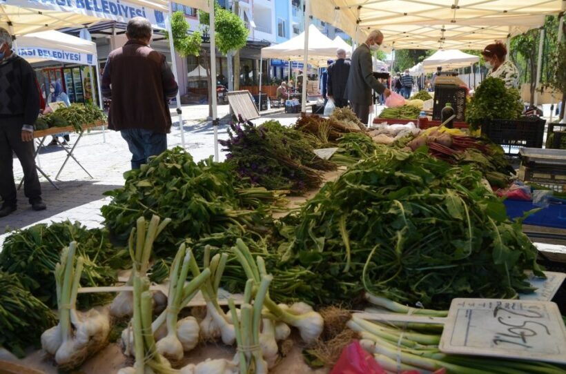 Cooking Class in Selcuk ( Ephesus) and Market Exploration - Practical Details & Tips