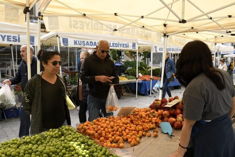 Cooking Class in Selcuk ( Ephesus) and Market Exploration - The Sum Up: Who Should Consider This?