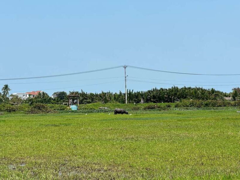 Cooking class in Tra Que village and lantern making - What’s Included and What’s Not