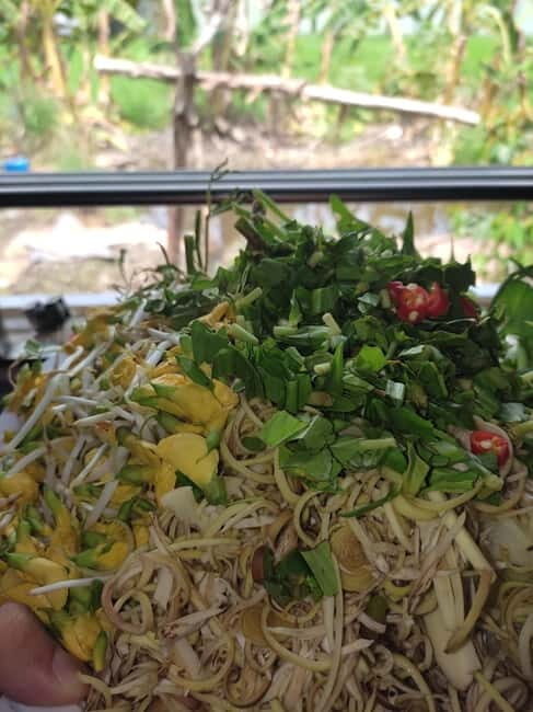 Cooking Class, Visit Local House, Be A Famer &Chef In Saigon - The Cultural Exchange and Final Touches