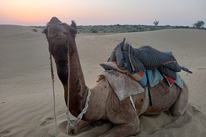 Cooking Class With Indian family - Price and Value Analysis