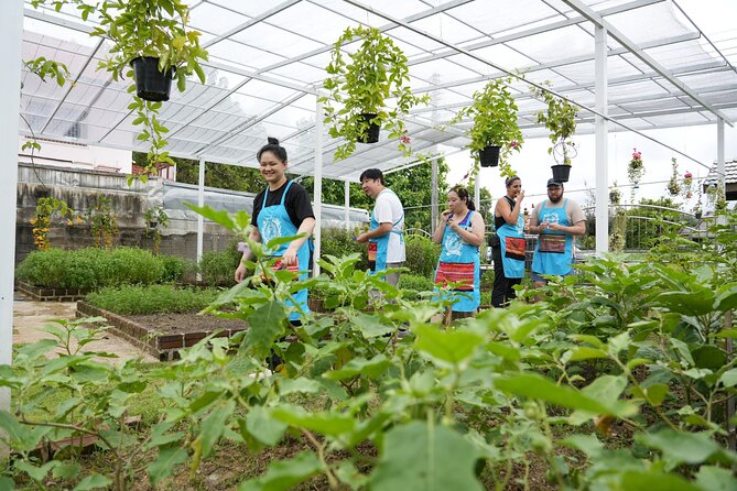Cooking Class with Organic Farm in Chiang Mai at Mama Noi - FAQs