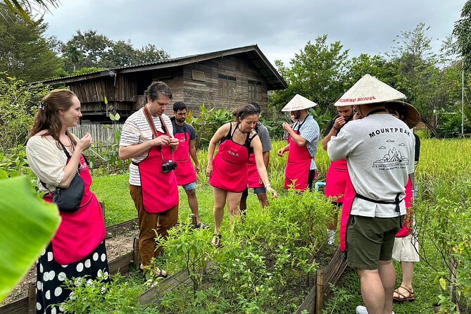 Cooking Class with Organic Farm in Chiang Mai - Introduction