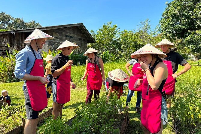 Cooking Class with Organic Farm in Chiang Mai - The Sum Up