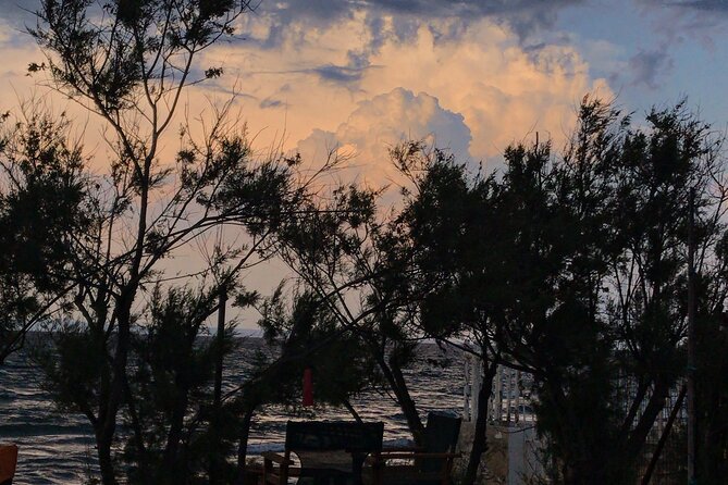 Cooking Classes by the Sea - Who Should Consider This Experience?