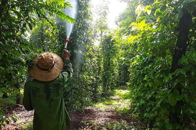 Cooking, Farming and Waterfall In Vietnam Countryside - Exploring the Vietnam Countryside: Cooking, Farming, and Waterfalls Near Buon Ma Thuot
