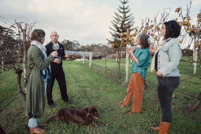 Cool Climate Chardonnay Masterclass in Denmark Australia - A Practical Review of the Experience
