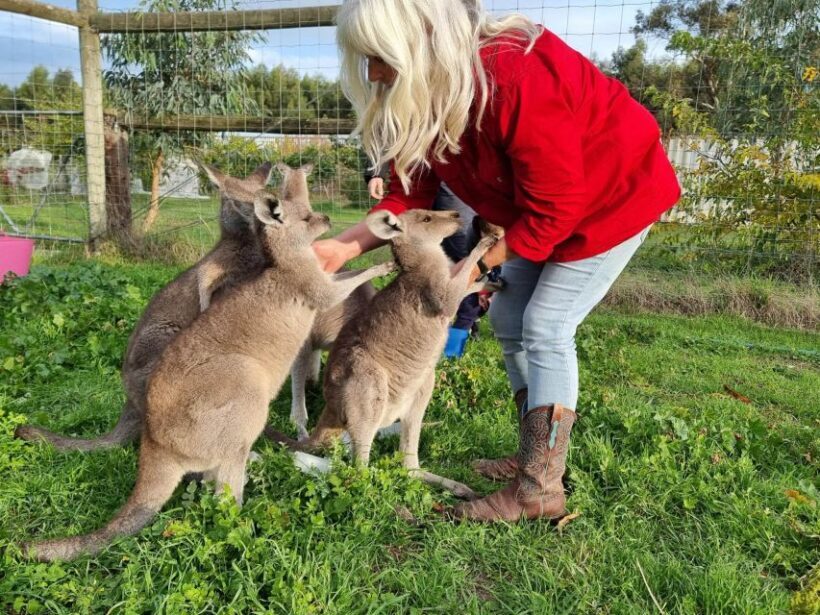 Coonawarra: Caves, Cabernet, & Kangaroos Day Tour & Lunch - Final Thoughts