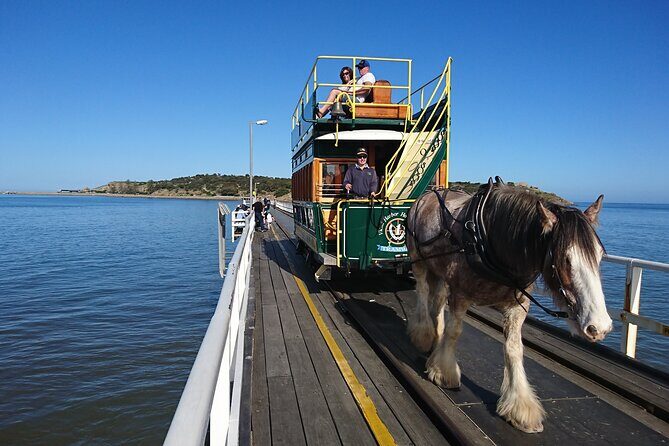 Coorong 3 & 1/2 Lunch Cruise and Tour - Final Thoughts: Who Is This Tour Best For?
