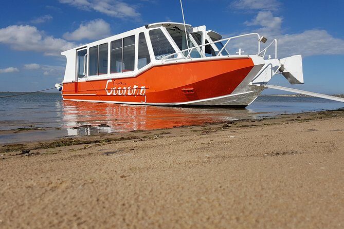 Coorong Highlights Cruise - Key Points