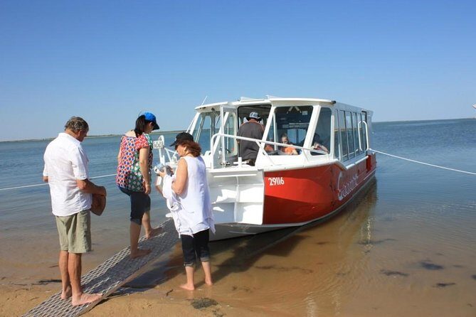 Coorong Highlights Cruise - What Makes the Coorong Special?