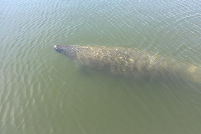 Copacetic Day Sail - FAQs