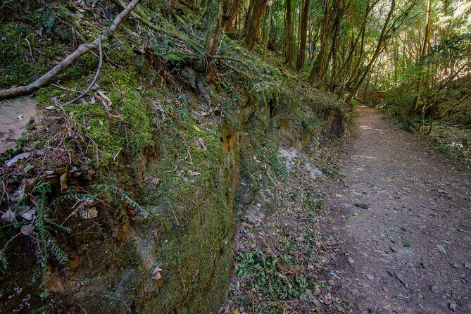 Copeland Tops National Park: Mountain Maid Gold Mine Tour - Final Thoughts