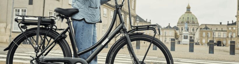 Copenhagen: 3 Hour Extended Grand E-Bike Guided Tour - A Deep Dive into What You Can Expect