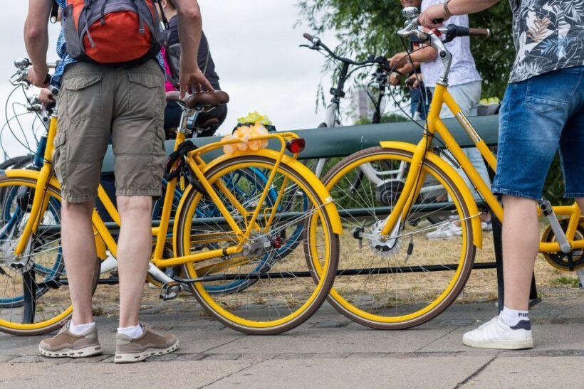 Copenhagen: 3 Hours Private Bike Tour with a local Guide - What to Expect During the Tour