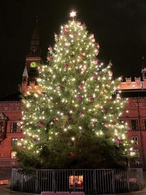 Copenhagen: Christmas Charm Walking Tour with Holiday Beer - Final Thoughts