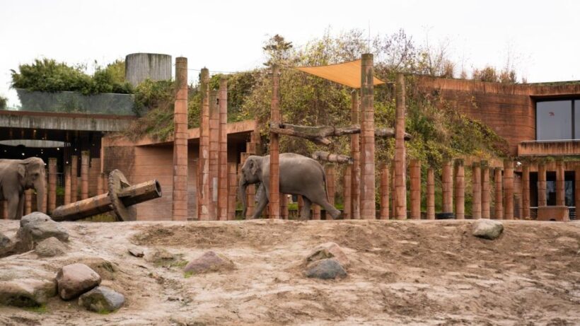 Copenhagen: City Card with 40+ Attractions & Hop-On/Off Bus - FAQ