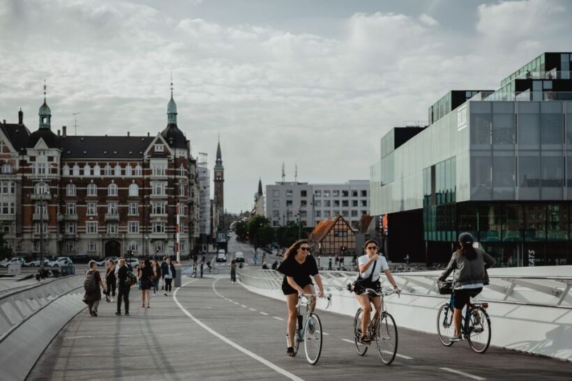 Copenhagen: Harbor Architecture Private Walking Tour - Price and Value