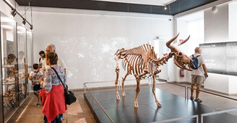 Copenhagen: National Museum of Denmark Entry Ticket - Introduction