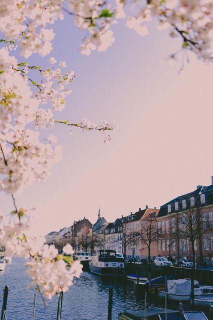 Copenhagen private 3h walking tour - Who Should Consider This Tour