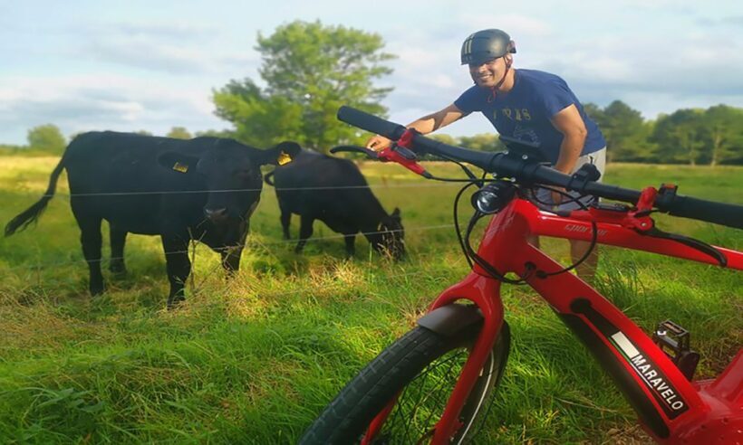 Copenhagen: Private Forgotten Giants E-Bike Treasure Hunt - Who Should Book This?