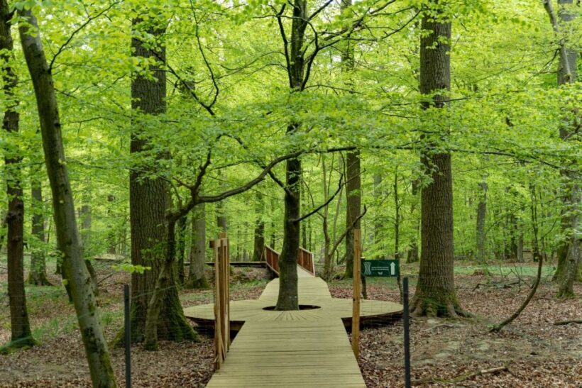 Copenhagen: The Forest Tower & Forgotten Giants Trolls Trip - FAQs