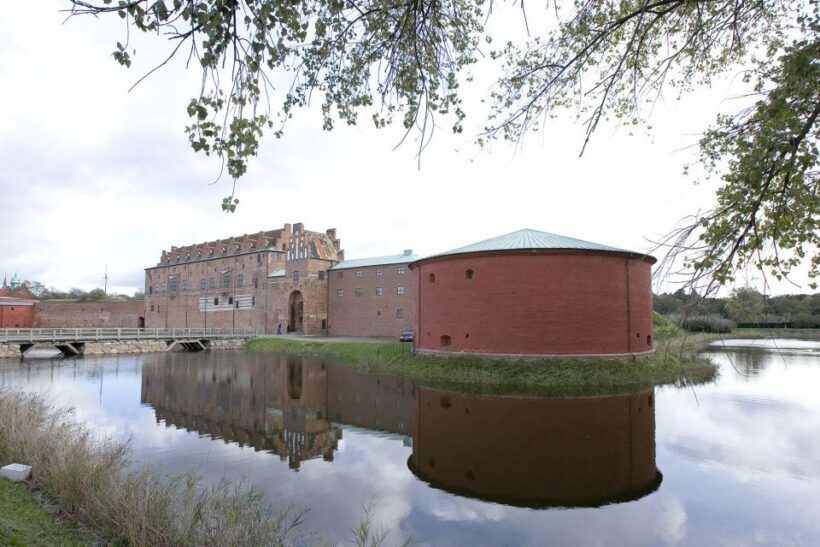 Copenhagen: Tour Across the Øresund Bridge to Lund and Malmö - The Guide and Group Dynamics