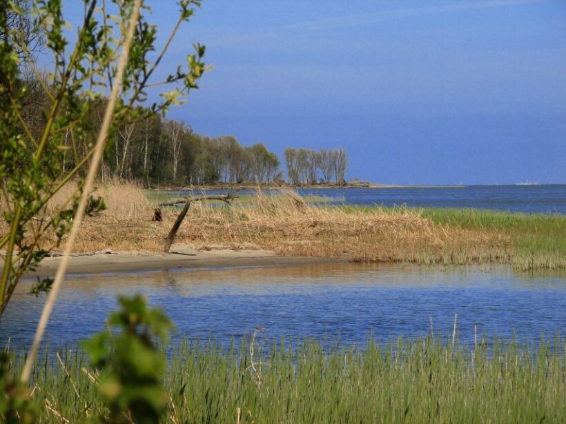 Copernicus Trail in Frombork Private Tour from Gdansk by Car - FAQ