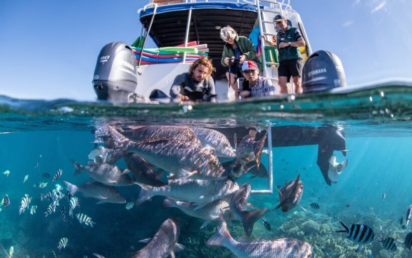 Coral Bay: 2-Hour Coral Viewing and Snorkeling - Key Points