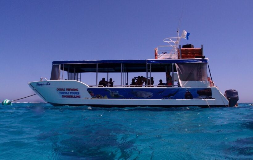 Coral Bay: 2-Hour Coral Viewing and Snorkeling - What to Expect from the Coral Bay Snorkeling Tour
