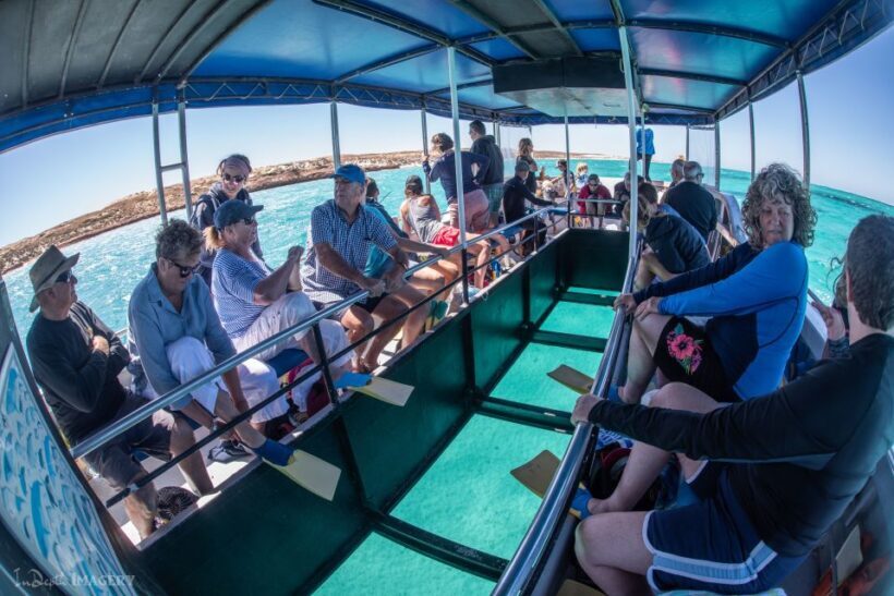 Coral Bay: 2-Hour Coral Viewing and Snorkeling - In-Depth Breakdown of the Experience