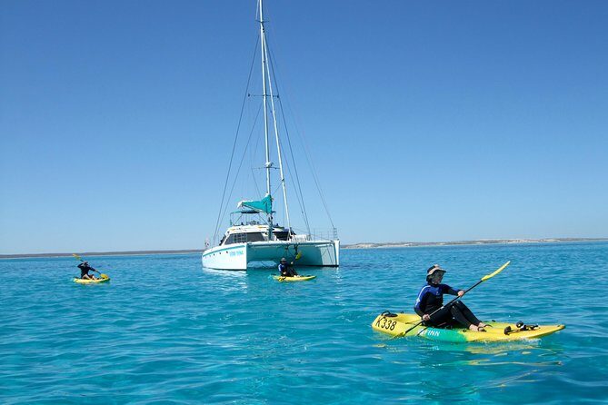 Coral Bay 2-Hour Coral Viewing and Snorkeling - The Sum Up: Who is This Tour Best For?
