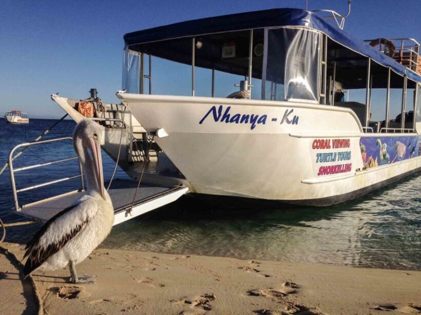 Coral Bay Glass-Bottom Boat Tour - What to Expect on the Coral Bay Glass-Bottom Boat Tour
