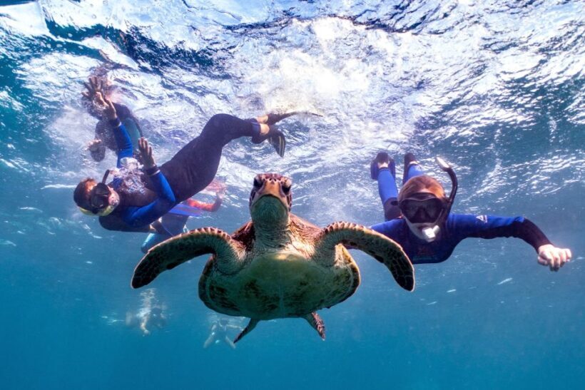 Coral Bay: Marine Eco Safari - Swim With Manta Rays - Starting Out: Ease and Comfort from the Beginning
