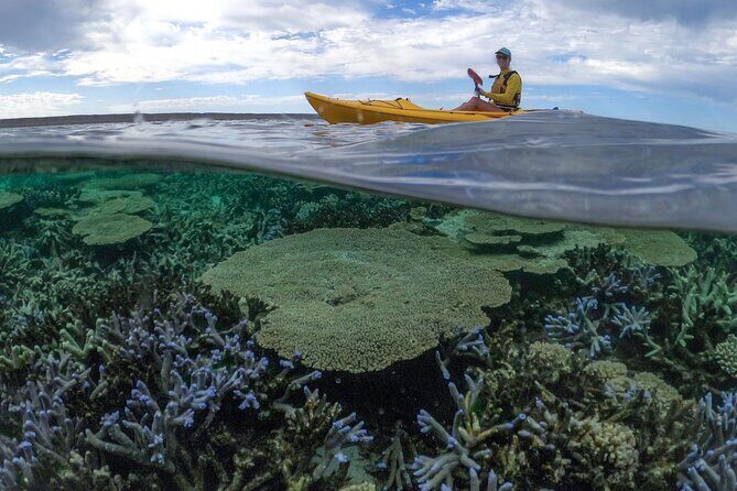 Coral By Kayak - Ningaloo Reef Half Day Kayak & Snorkel Tour - Who Will Love This Tour?