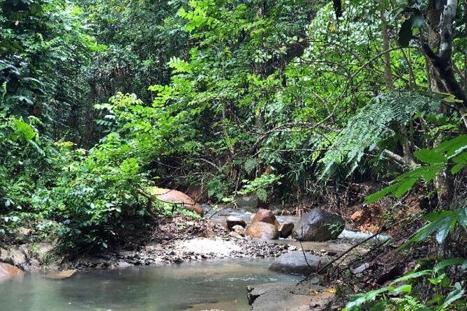 ''Coral Coast Adventure: Biausevu Waterfall & Natadola Beach !'' - Authentic Experiences and Personal Touches