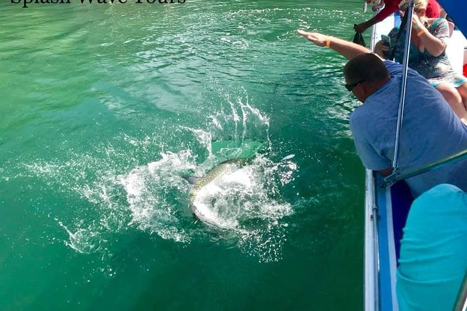 Coral Garden Shark and Sting Ray Alley Snorkeling - Overview of the Coral Garden Snorkeling Tour