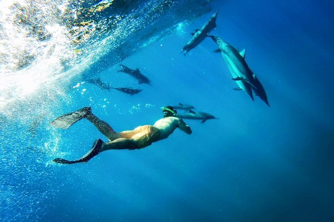 Coral Gardens Coastal Snorkel & Sail - Itinerary Breakdown