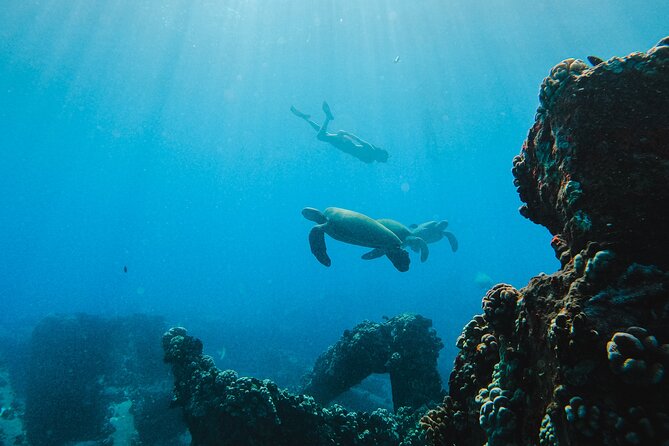 Coral Gardens Coastal Snorkel & Sail - The Sum Up: Who Will Love This Tour?