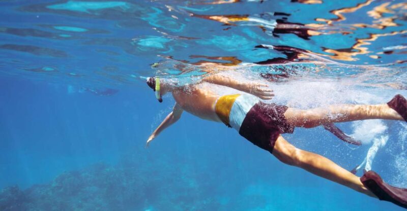 Coral Gardens Snorkel & Whale Watch - Who Will Love This Tour?