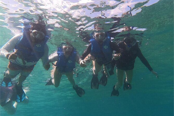 Coral Reef and Sea Turtle Snorkeling Experience - Key Points