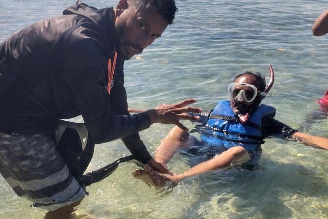 Coral Reef and Sea Turtle Snorkeling Experience - Frequently Asked Questions