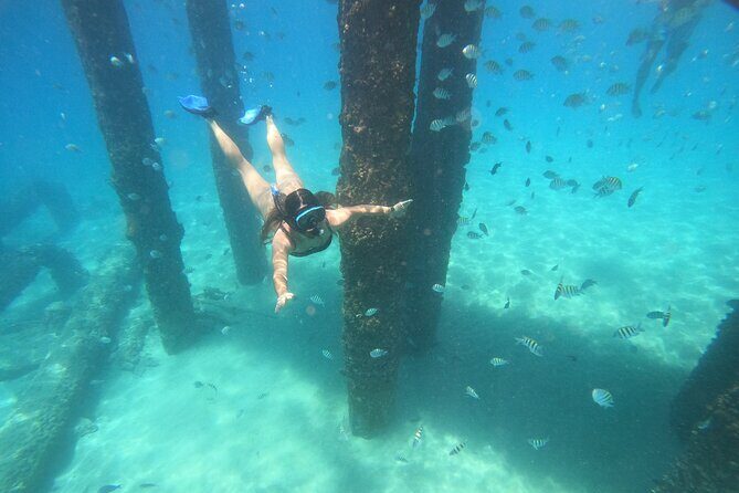 Coral Reef Snorkel Adventure with Photos and Videos - An In-Depth Look at the Coral Reef Snorkel Experience