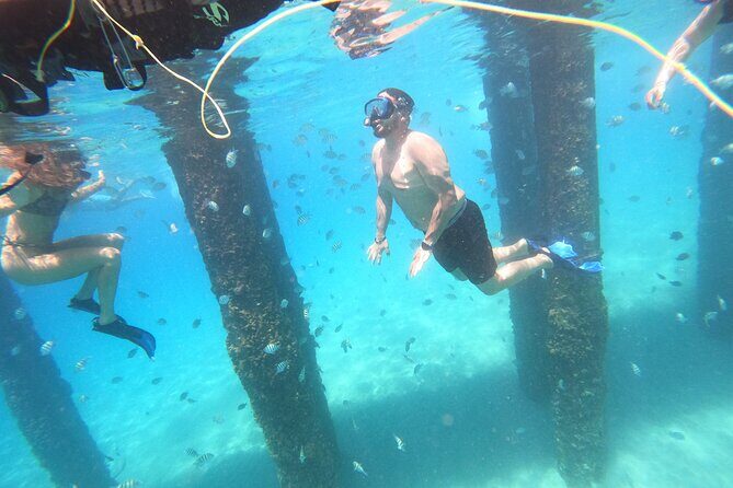 Coral Reef Snorkel Adventure with Photos and Videos - Final Thoughts: Is It Worth It?