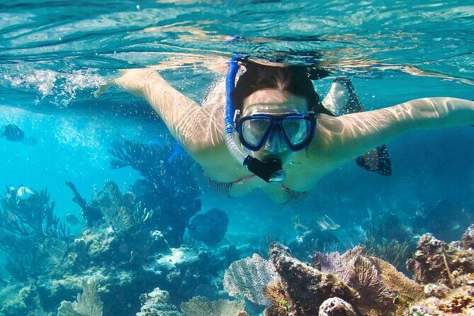 Coral Reef Snorkeling Expedition from Cancun with Beachside Lunch - Who Might Want to Consider Alternatives