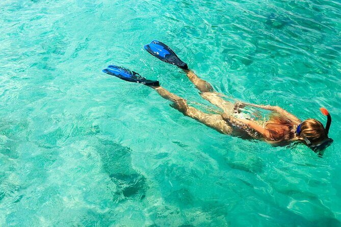 Coral Reef Snorkeling Expedition from Cancun with Beachside Lunch - The Sum Up