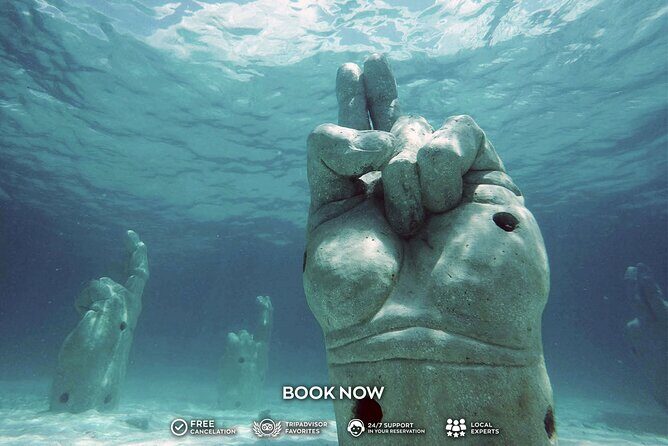 Coral Reef Snorkeling Expedition from Cancun with Beachside Lunch - Summary: Is This Tour for You?