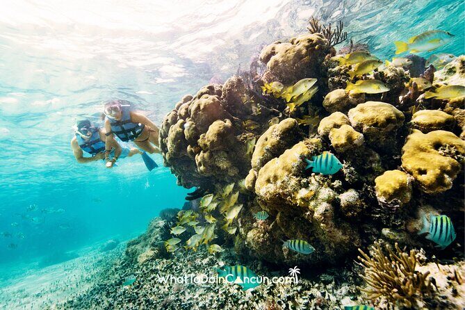 Coral Reef Snorkeling Expedition from Cancun with Beachside Lunch - FAQs