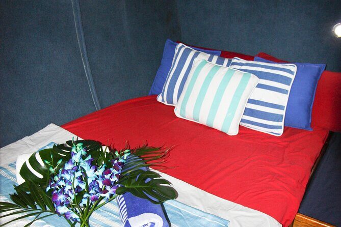 Coral Sea Dreaming Overnight Dive, Snorkel and Sail - Pricing and Value